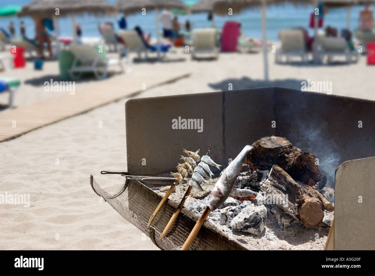 Sardines and fish grilling over olive wood fire on Spanish beach Stock ...
