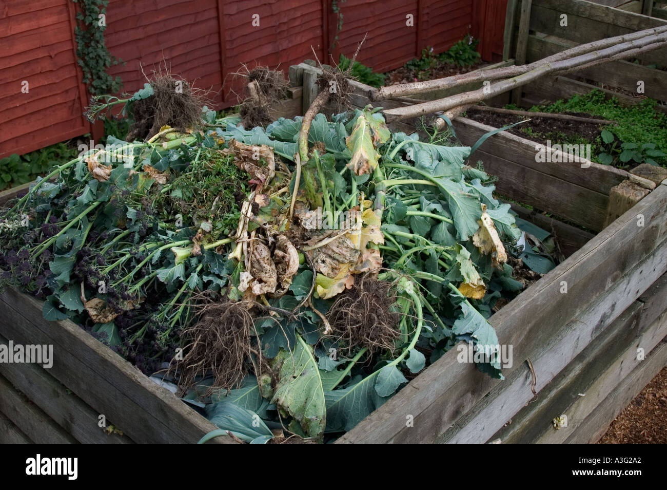 Compost manure hi-res stock photography and images - Alamy