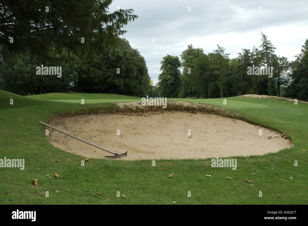 Golf course bunker Stock Photo - Alamy