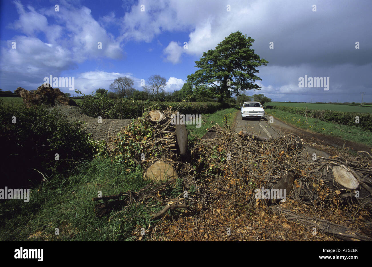 Thorner yorkshire hi-res stock photography and images - Alamy