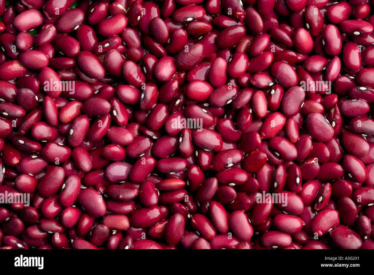 Kidney Red Beans Stock Photo - Alamy