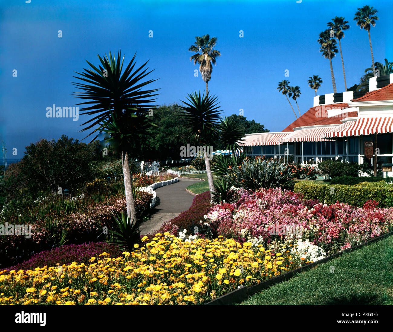 Laguna Beach in California showing blooming flower beds in the popular ...