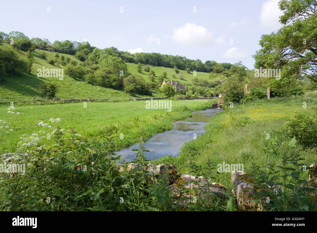 The valley of the infant River Windrush as it flows past the Cotswold ...