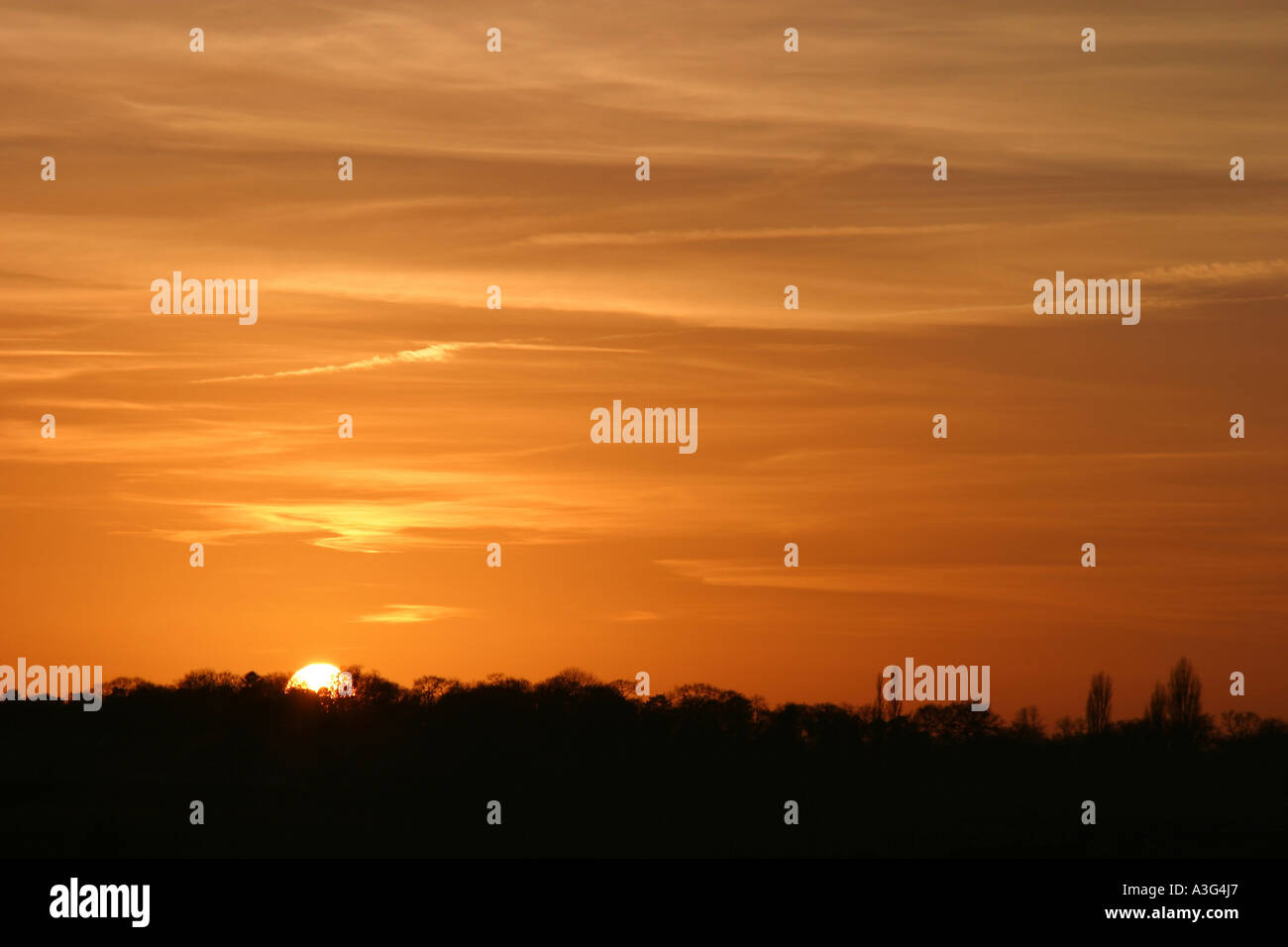 A photograph of the setting sun disappearing behind a hedge line Stock ...