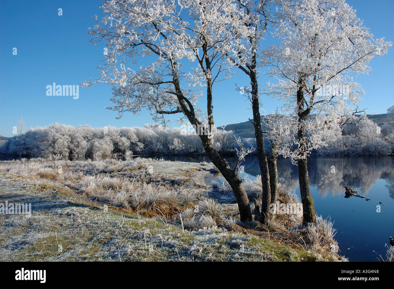 Frosted trees along the River Lochay and Loch Tay low hills in ...