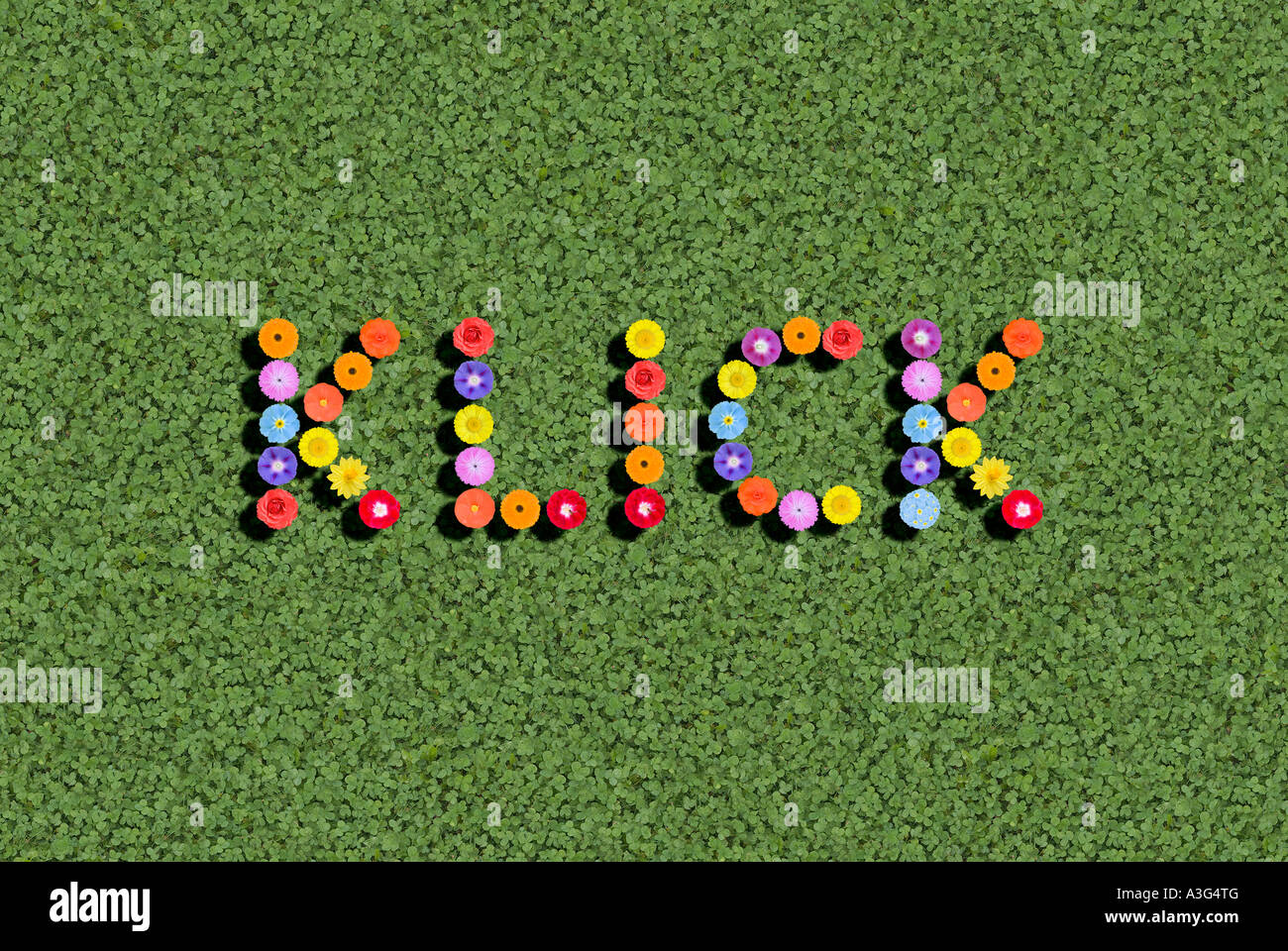 Click in german Klick is the sound of a photo camera or Computer mouse ...