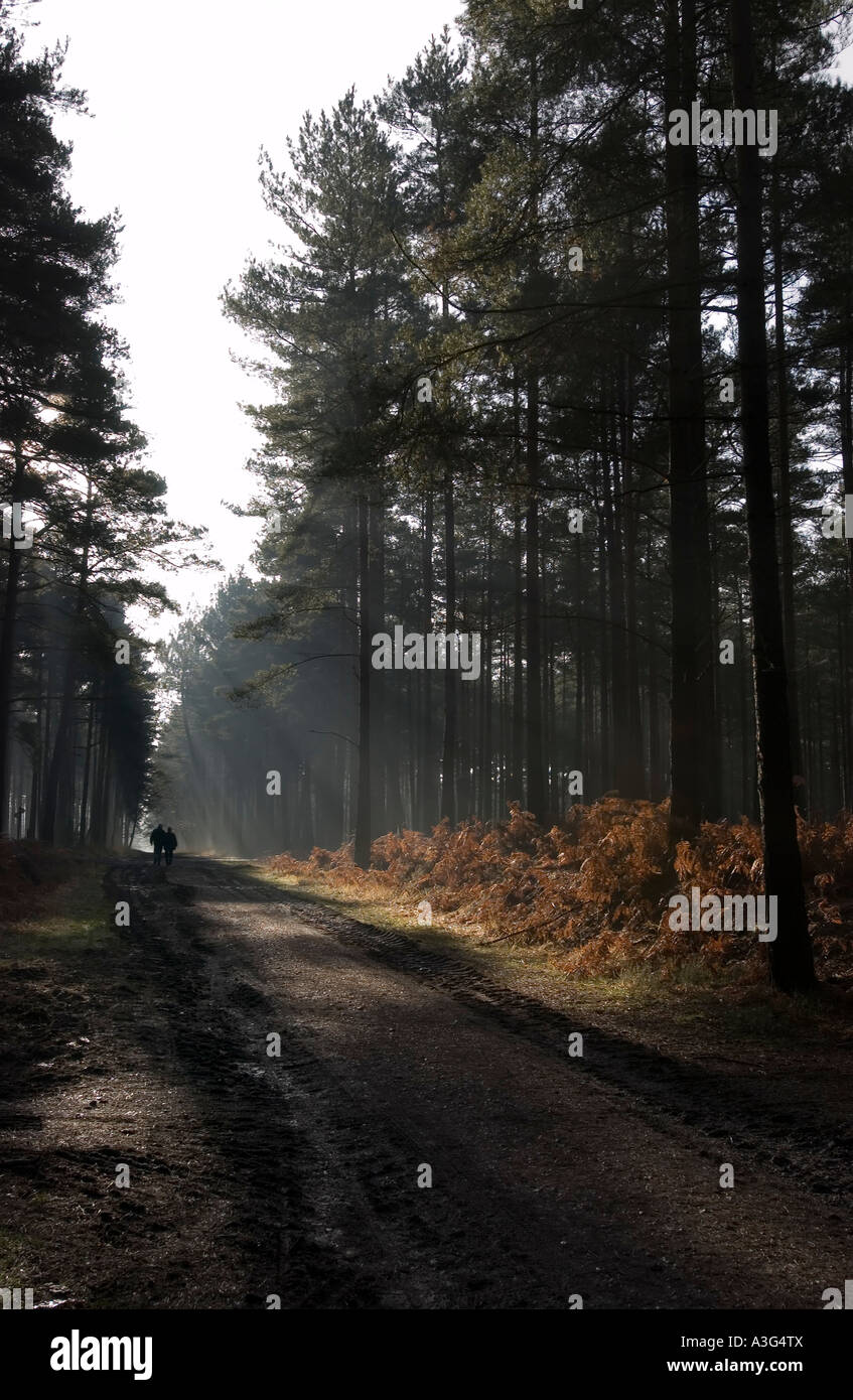 On the way home Stock Photo - Alamy