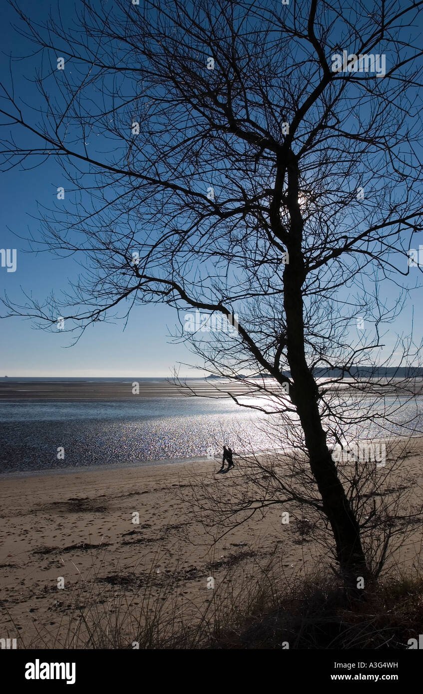 A walk in the sun Stock Photo - Alamy