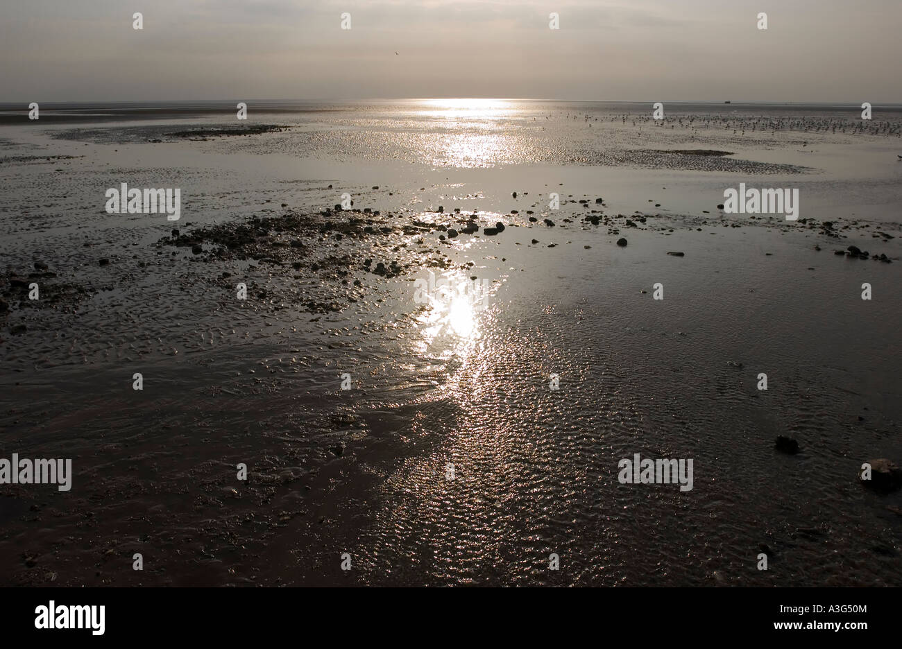 Wheres the sun hi-res stock photography and images - Alamy