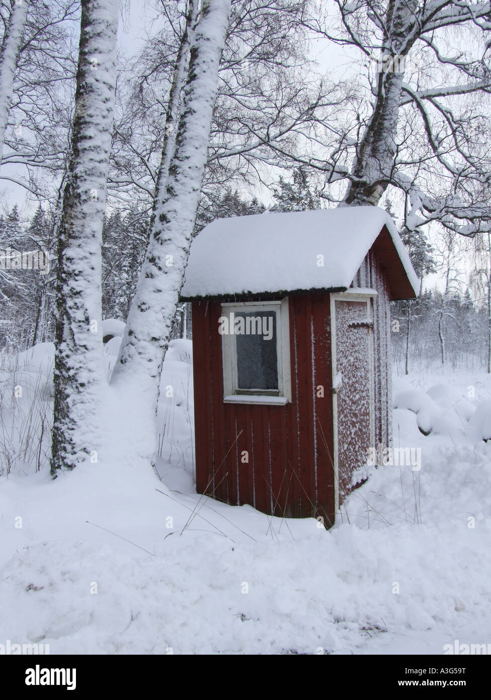 small wooden hut in countryside in sweden Stock Photo - Alamy