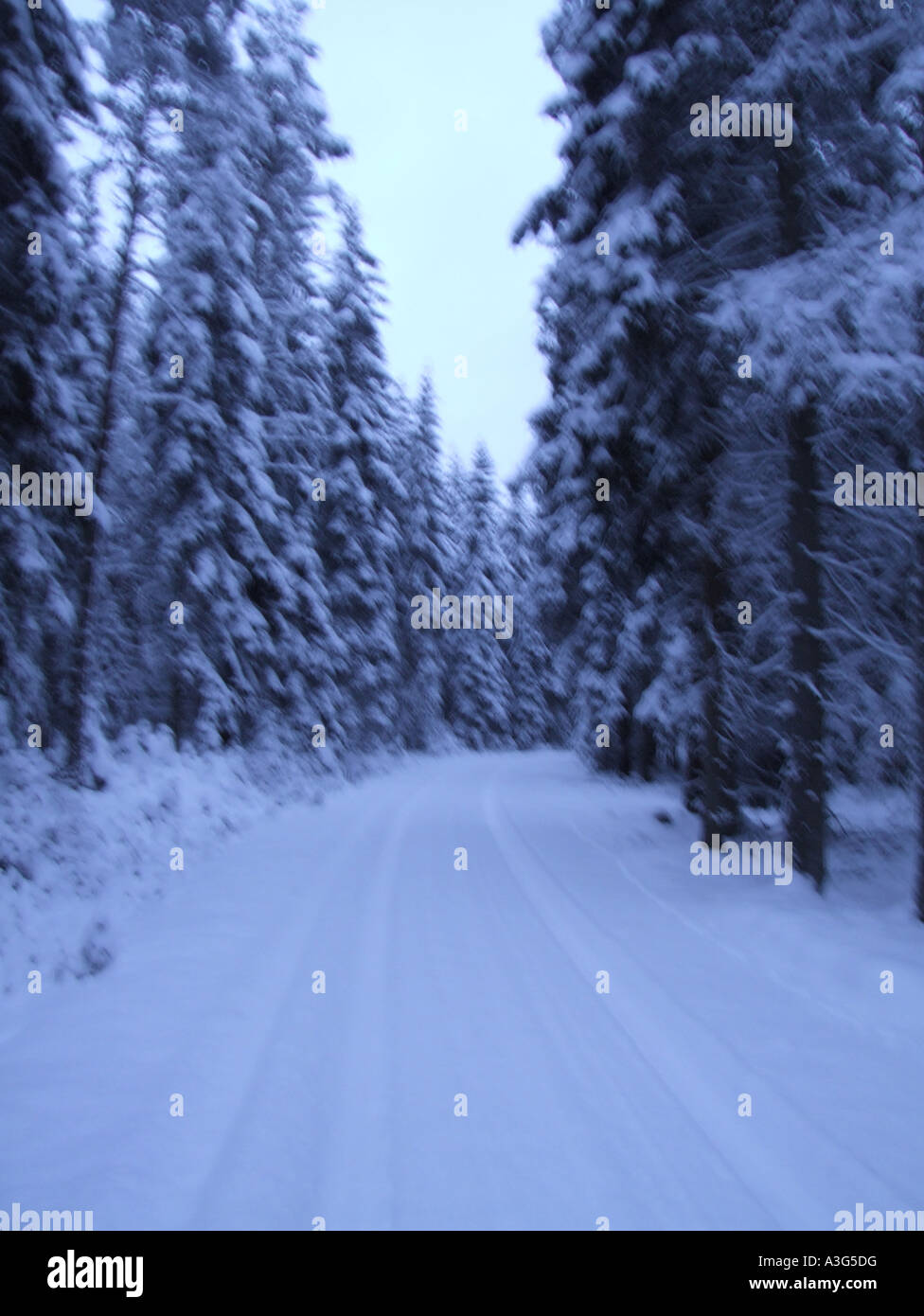 rural road covered with heavy snow Stock Photo - Alamy
