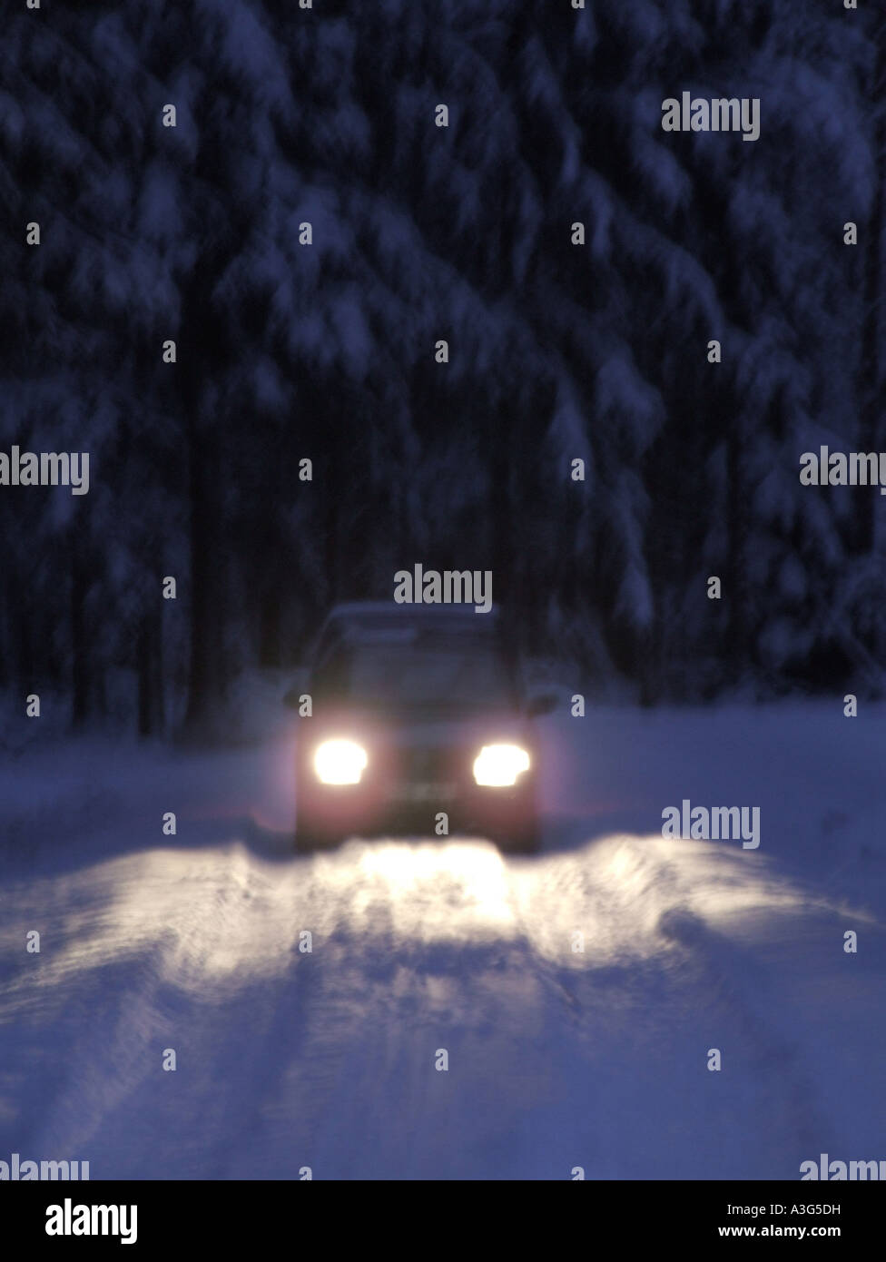 lonely car driving through heavy snow in forest at night Stock Photo ...