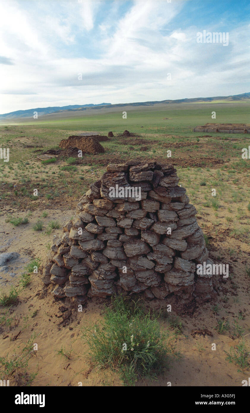 Ancient mongoloid hi-res stock photography and images - Alamy