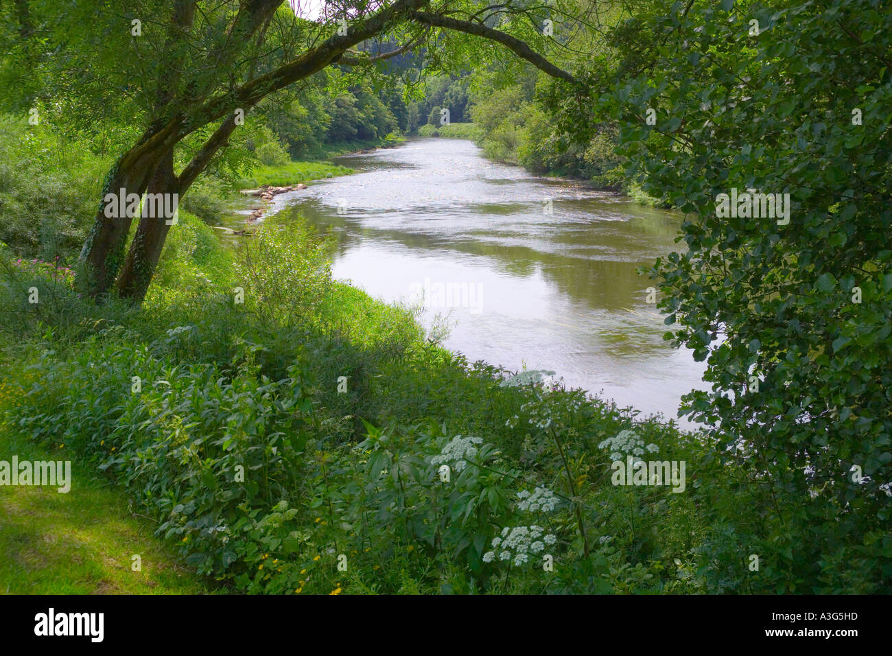 The River Wye at Redbrook, Gloucestershire Stock Photo - Alamy