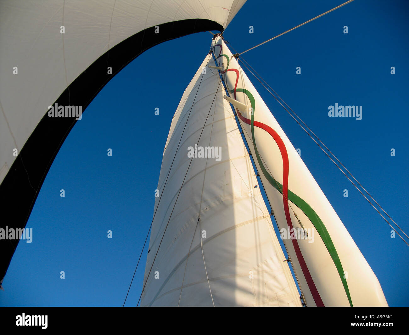 Tocobaga florida hi-res stock photography and images - Alamy