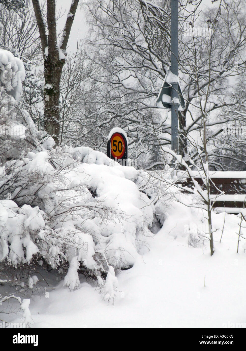 Secluded speed sign hi-res stock photography and images - Alamy