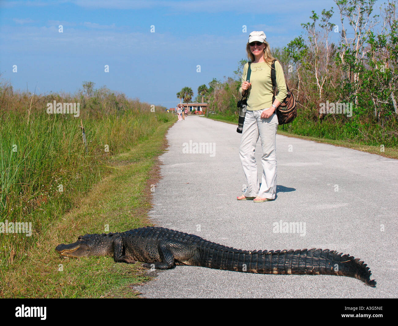 Alligator death roll hi-res stock photography and images - Alamy