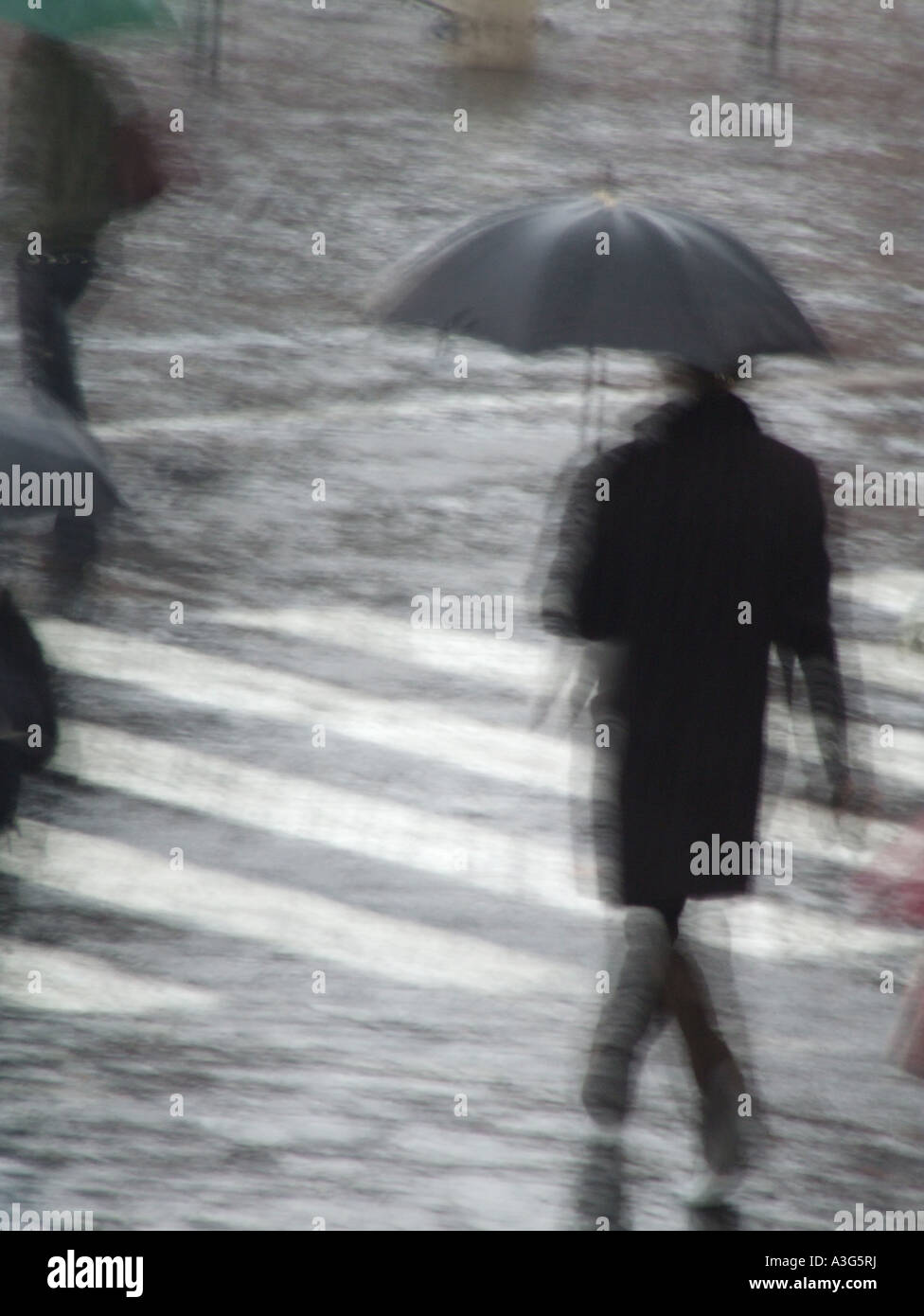 person walking in rain in town Stock Photo - Alamy