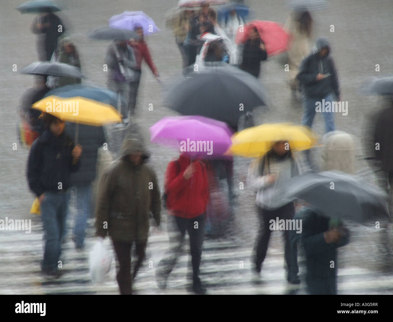 people crossing road in heavy rain Stock Photo - Alamy