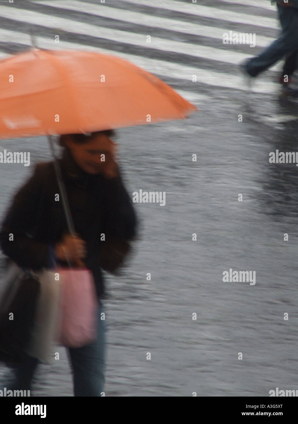 person carrying umbrella in town Stock Photo - Alamy