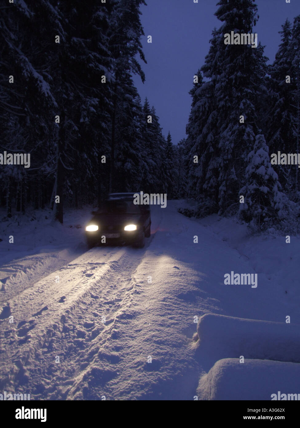 lonely car driving through heavy snow in forest at night Stock Photo ...