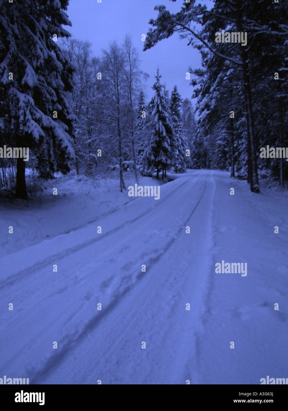 Driving tracks in the woods hi-res stock photography and images - Alamy