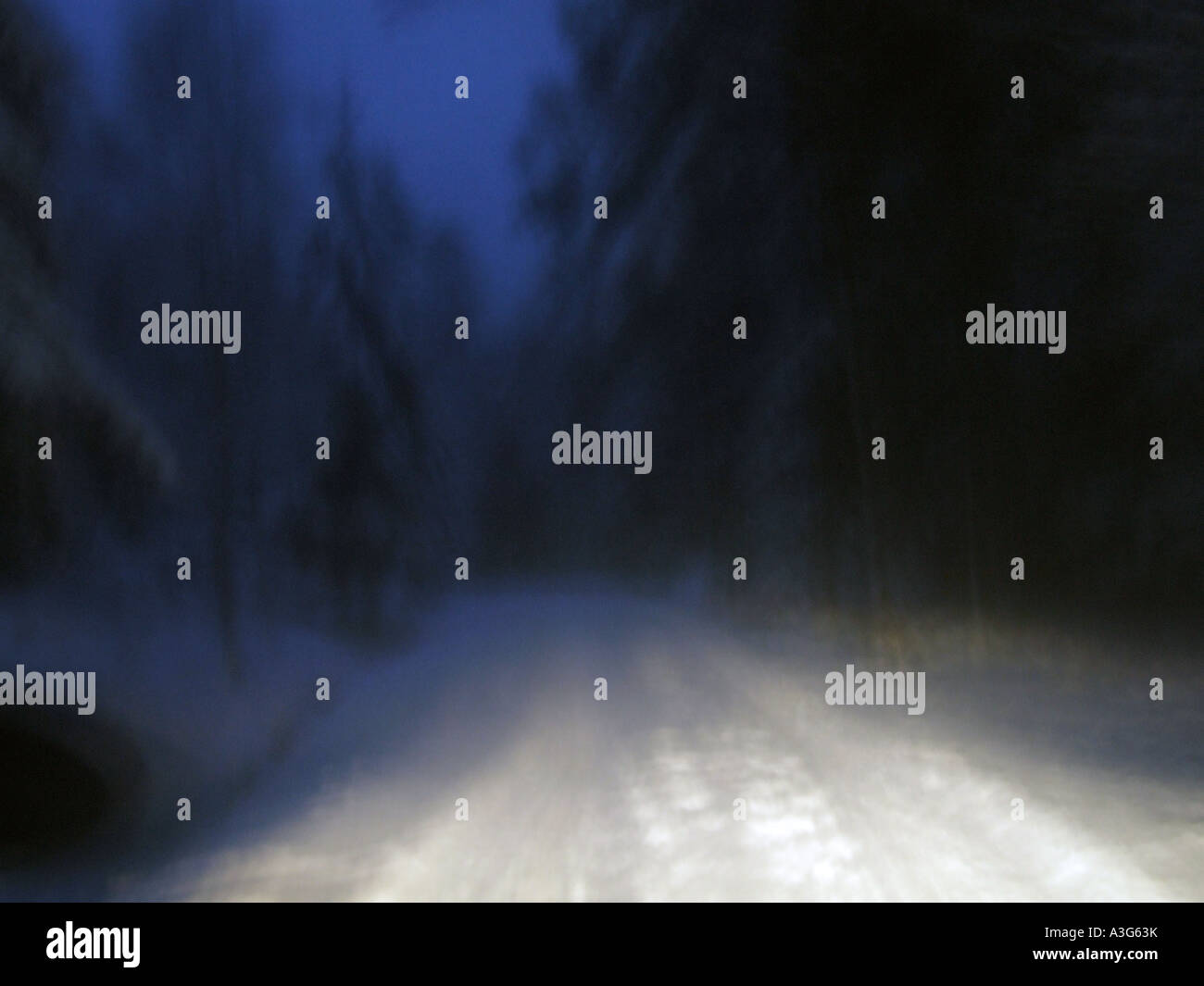 Driving In Wilderness At Night High Resolution Stock Photography and ...