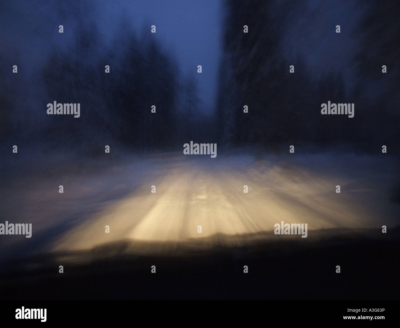 view from car windscreen driving through heavy snow in forest at night ...