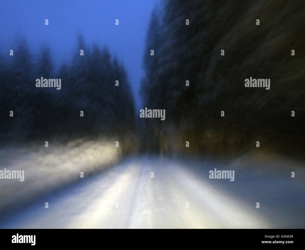 Driving In Wilderness At Night High Resolution Stock Photography and ...