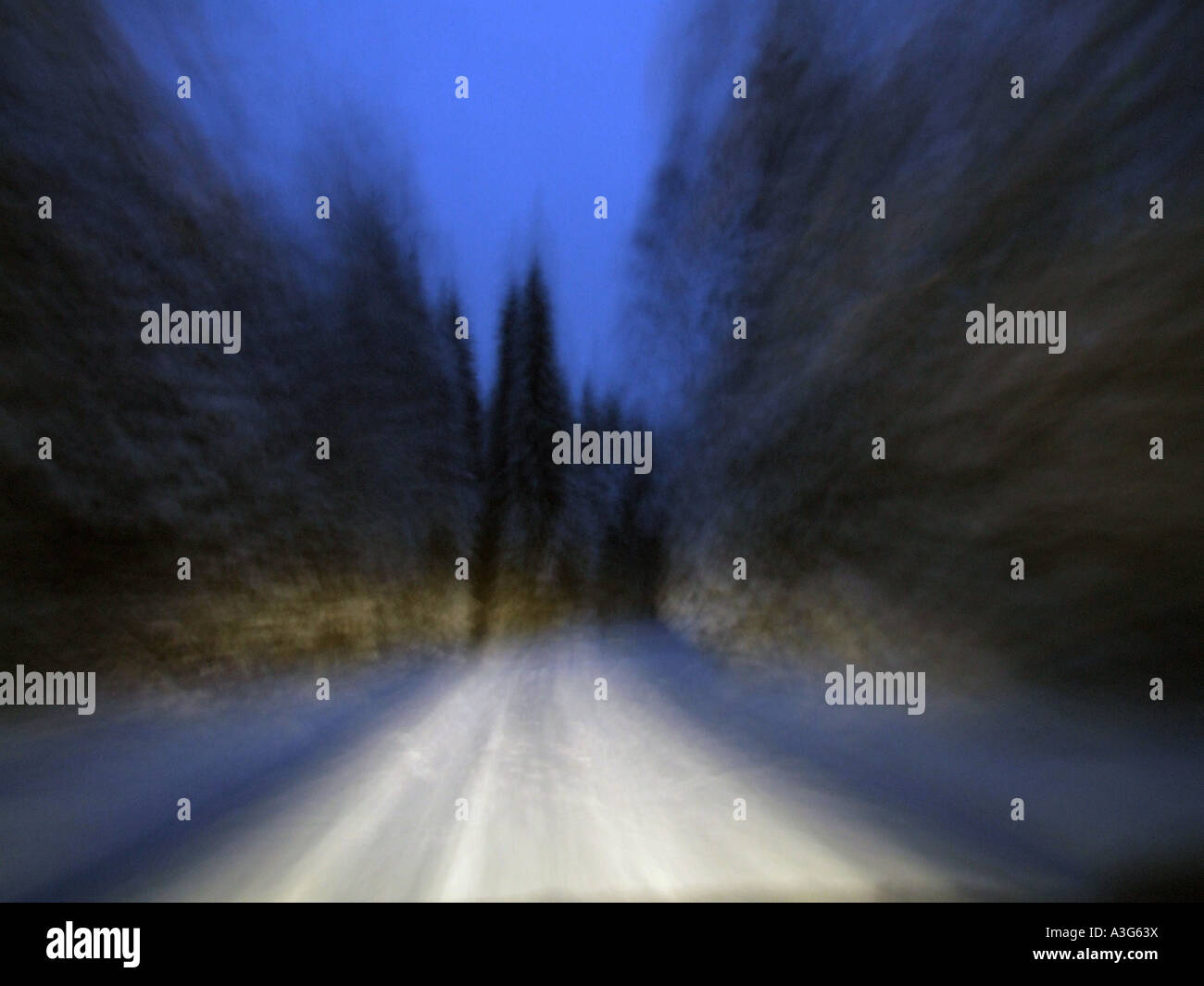 Driving In Wilderness At Night High Resolution Stock Photography and ...