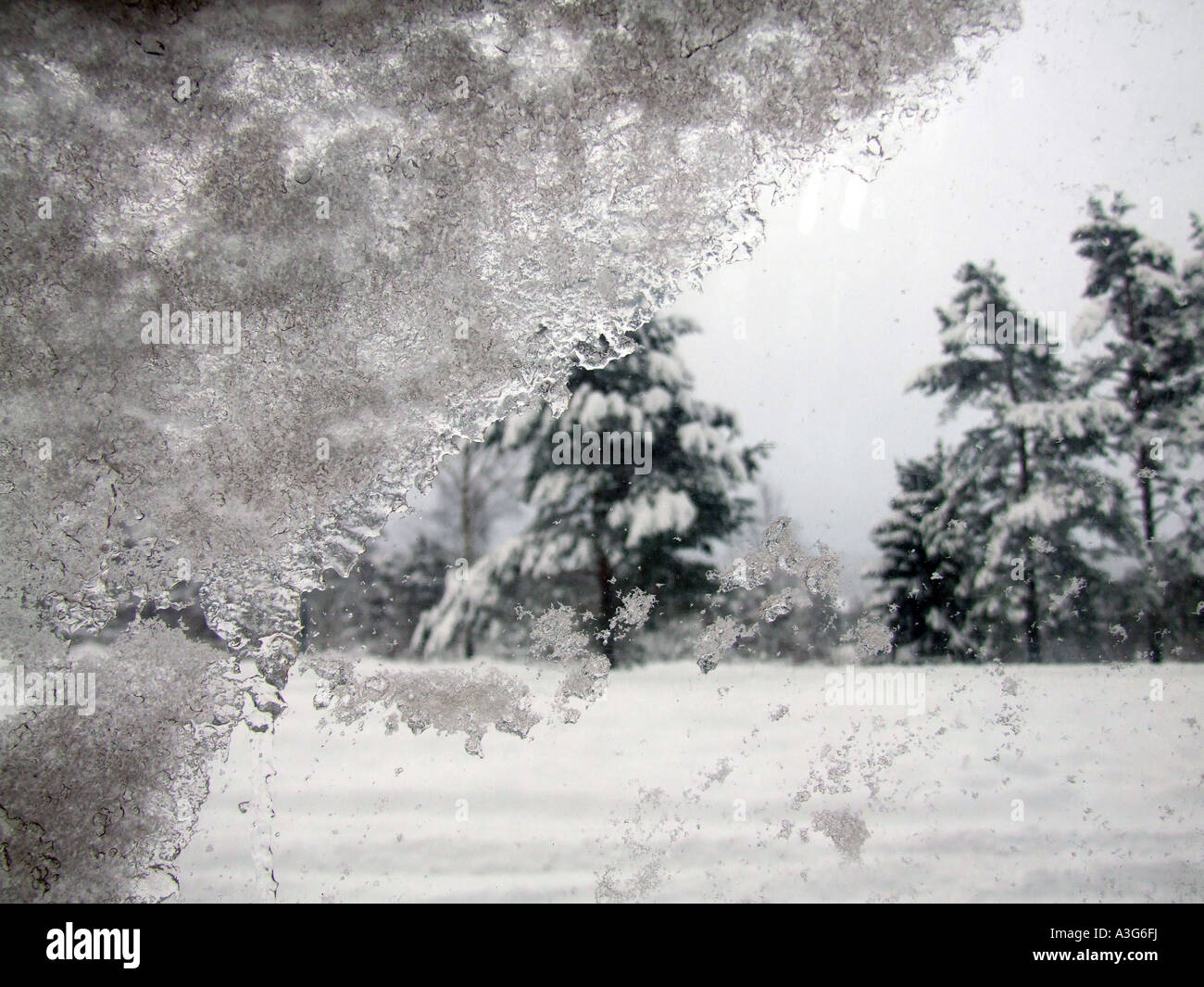 snow flakes on window Stock Photo - Alamy