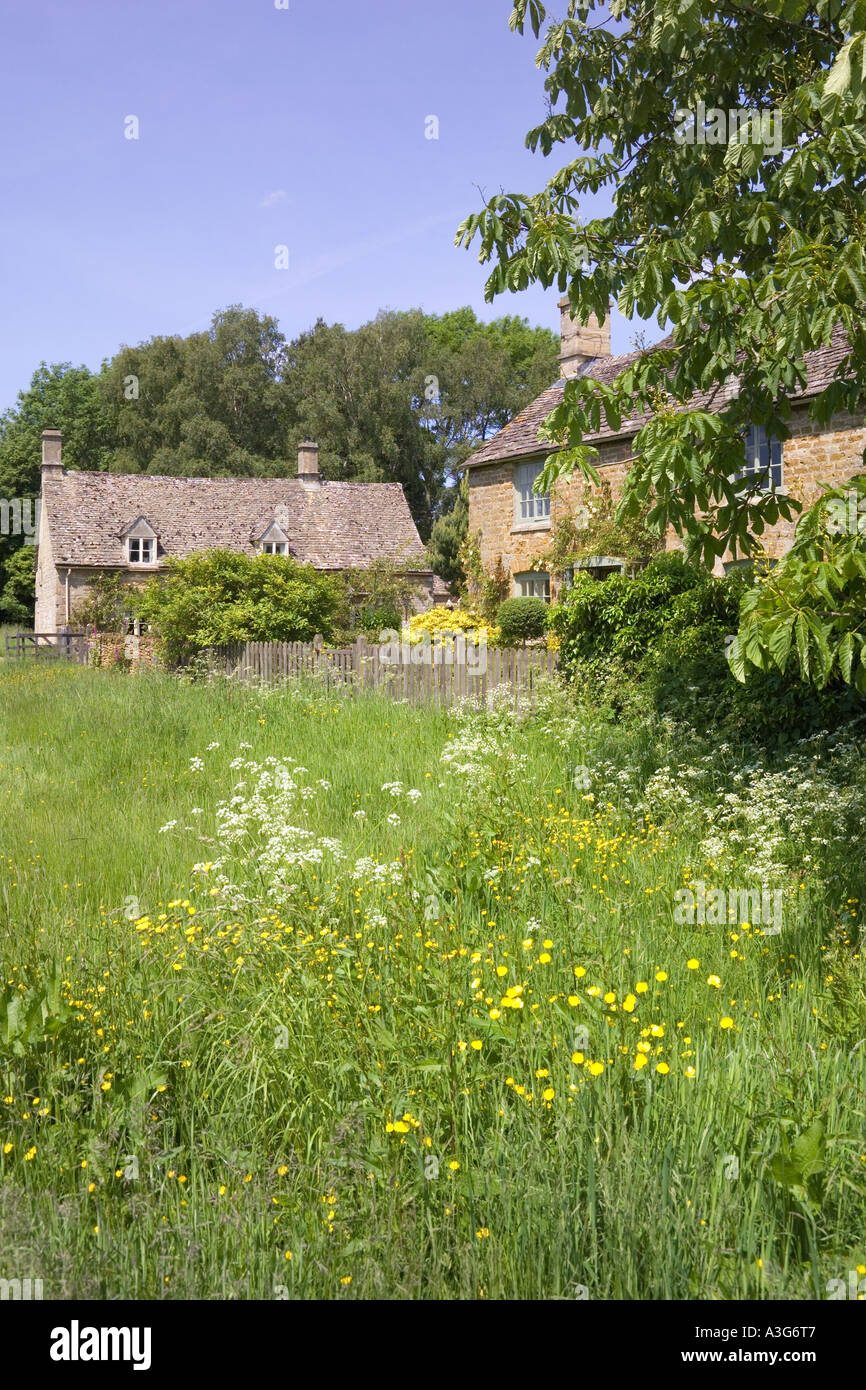 Cottages on the village green in the Cotswold village of Wyck ...