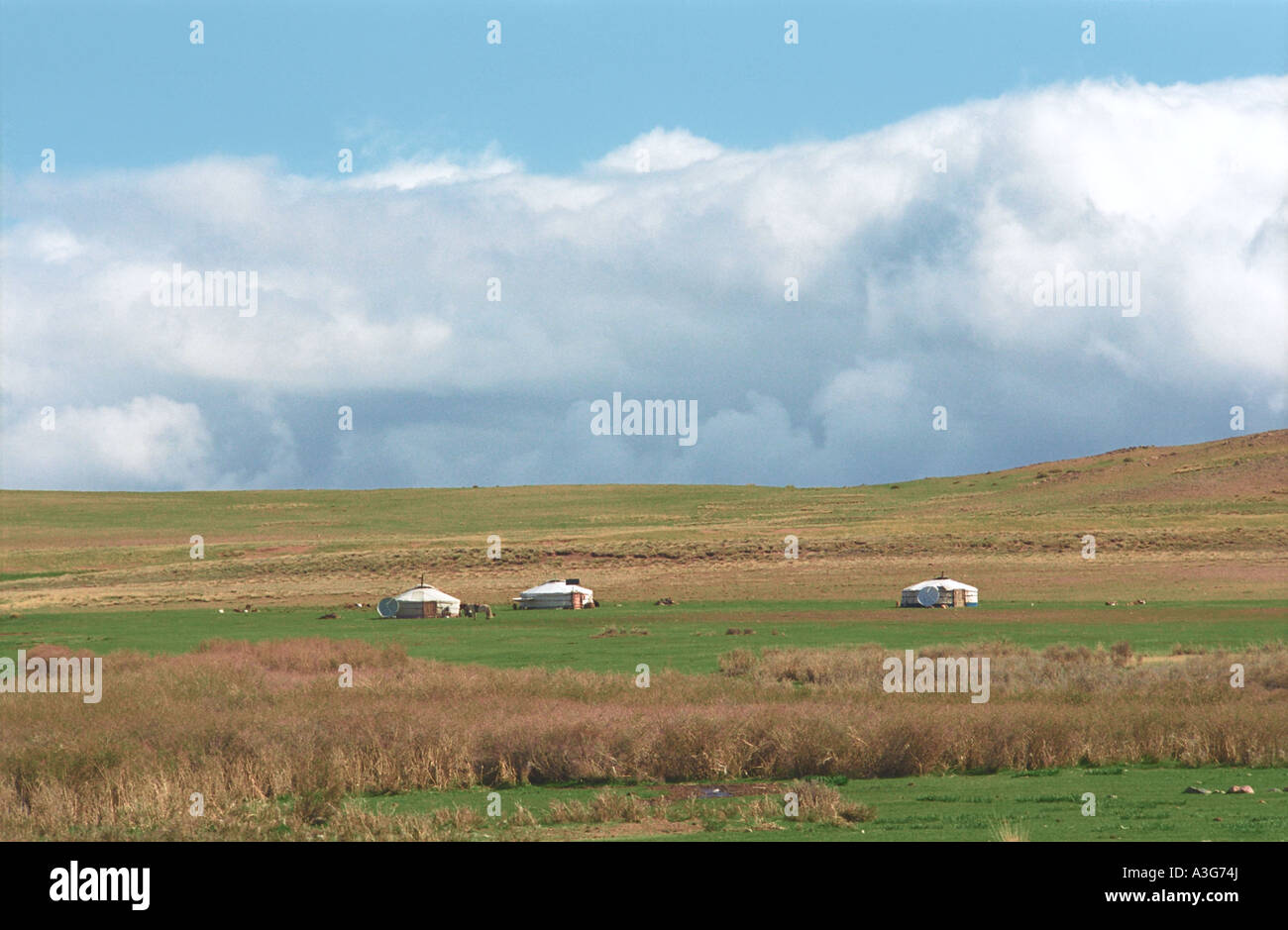 Uvs lake hi-res stock photography and images - Alamy