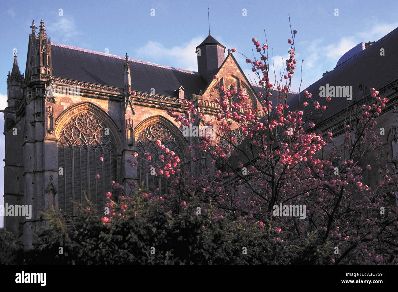 france le mans cathedral david martyn hughes Stock Photo - Alamy