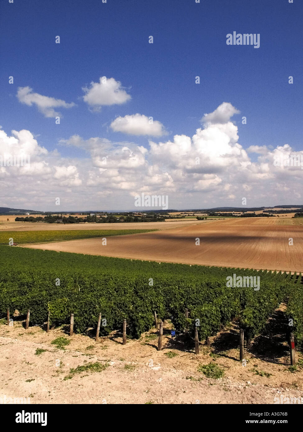 france valley of the river loire farm agriculture agricultural land ...