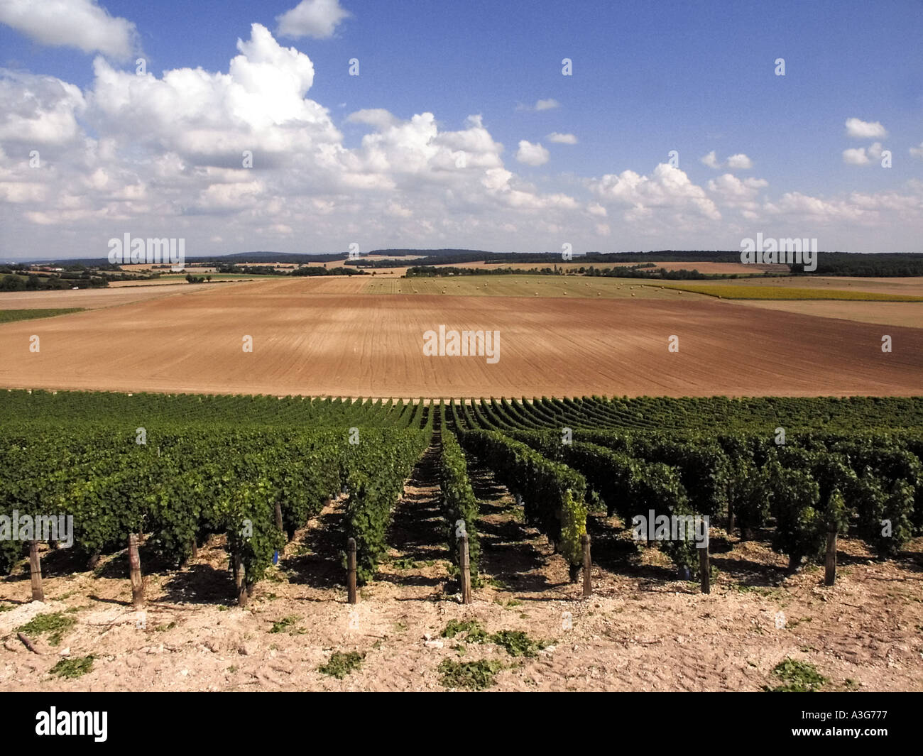 france valley of the river loire farm agriculture agricultural land ...