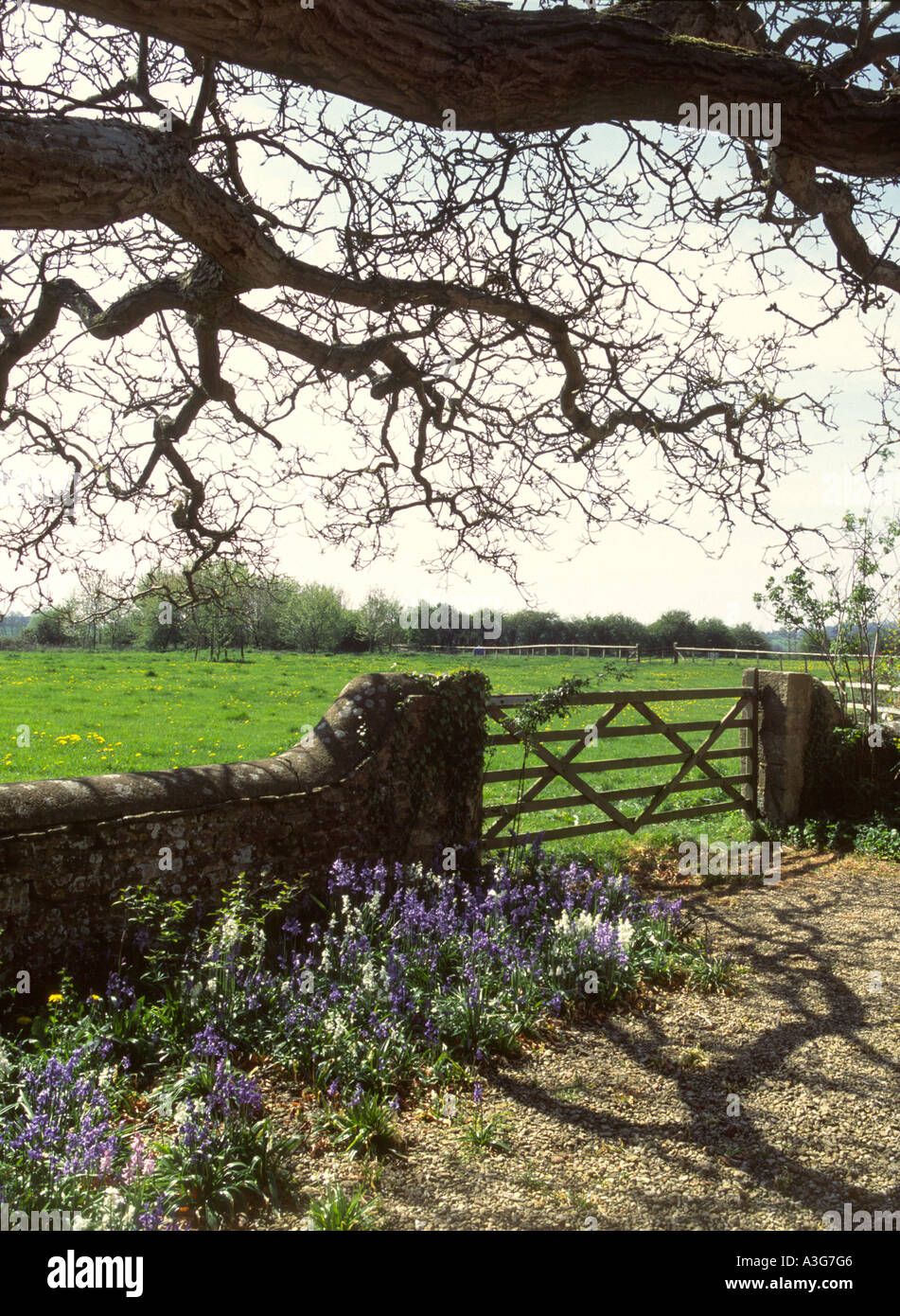 Country garden gate hi-res stock photography and images - Alamy