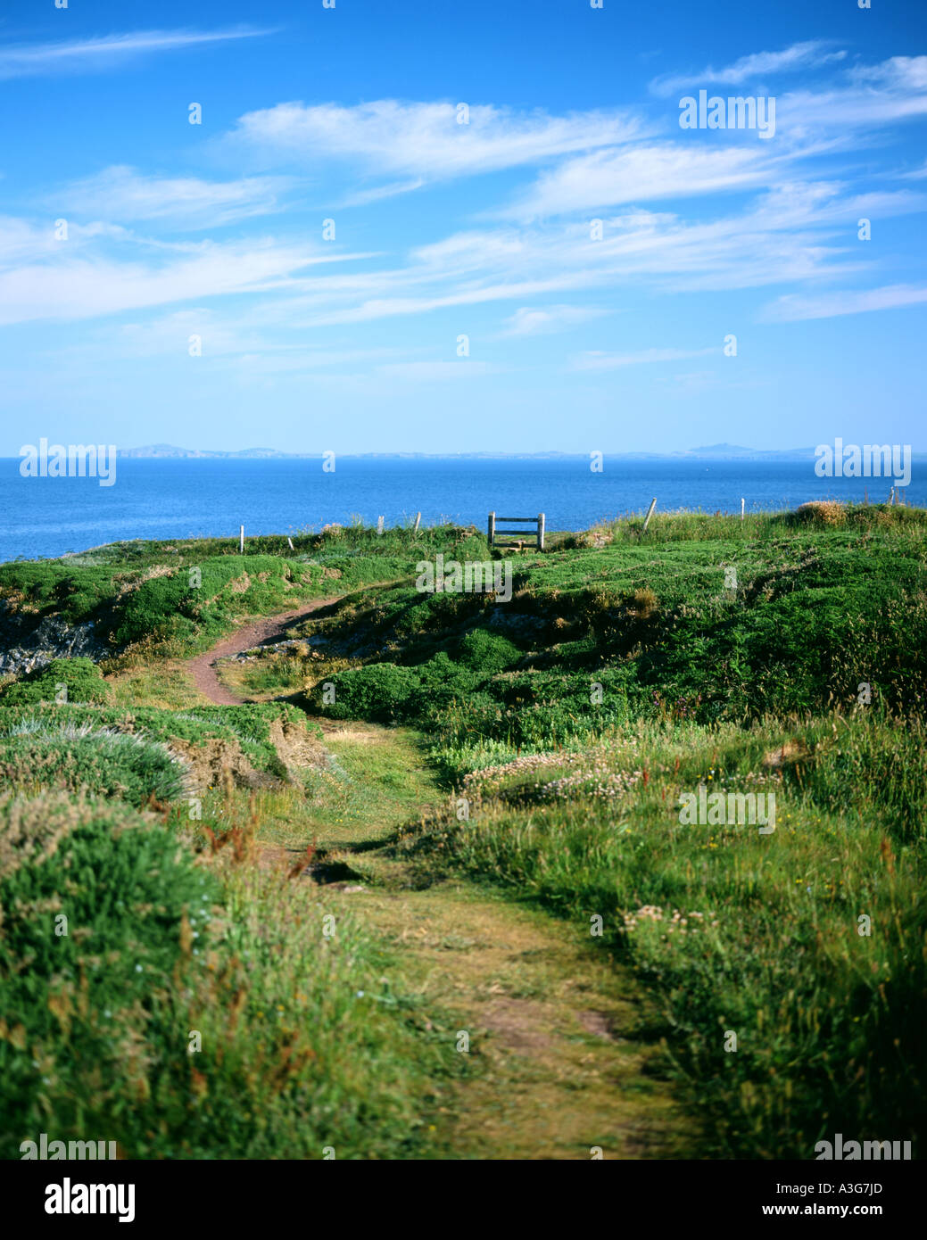 Nab head hi-res stock photography and images - Alamy