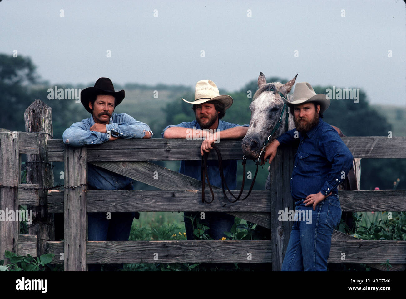 Three cowboys pose for the camera while taking a break on a cattle ...