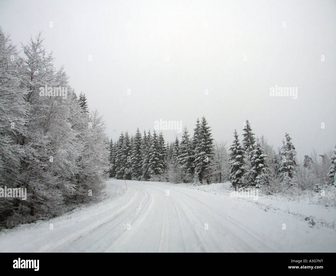 rural road covered with heavy snow Stock Photo - Alamy