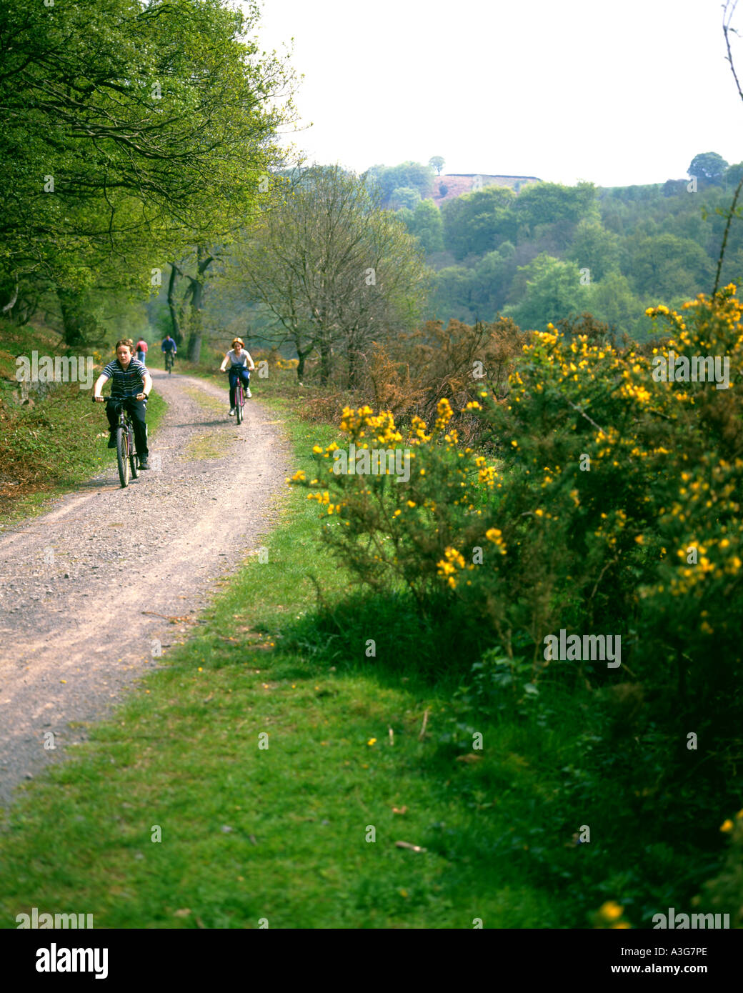 Quakers Yard Wales High Resolution Stock Photography and Images - Alamy