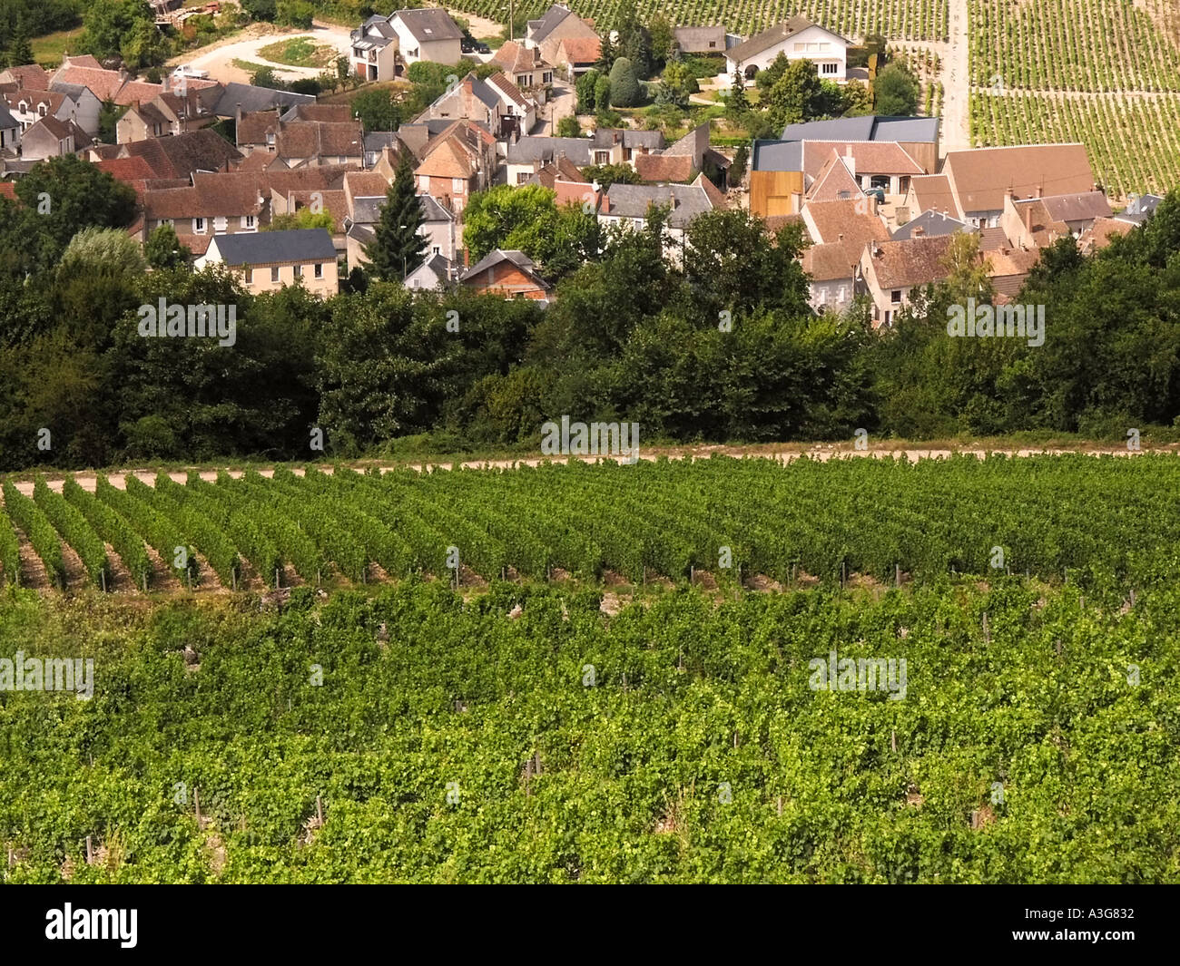Vinculture hi-res stock photography and images - Alamy