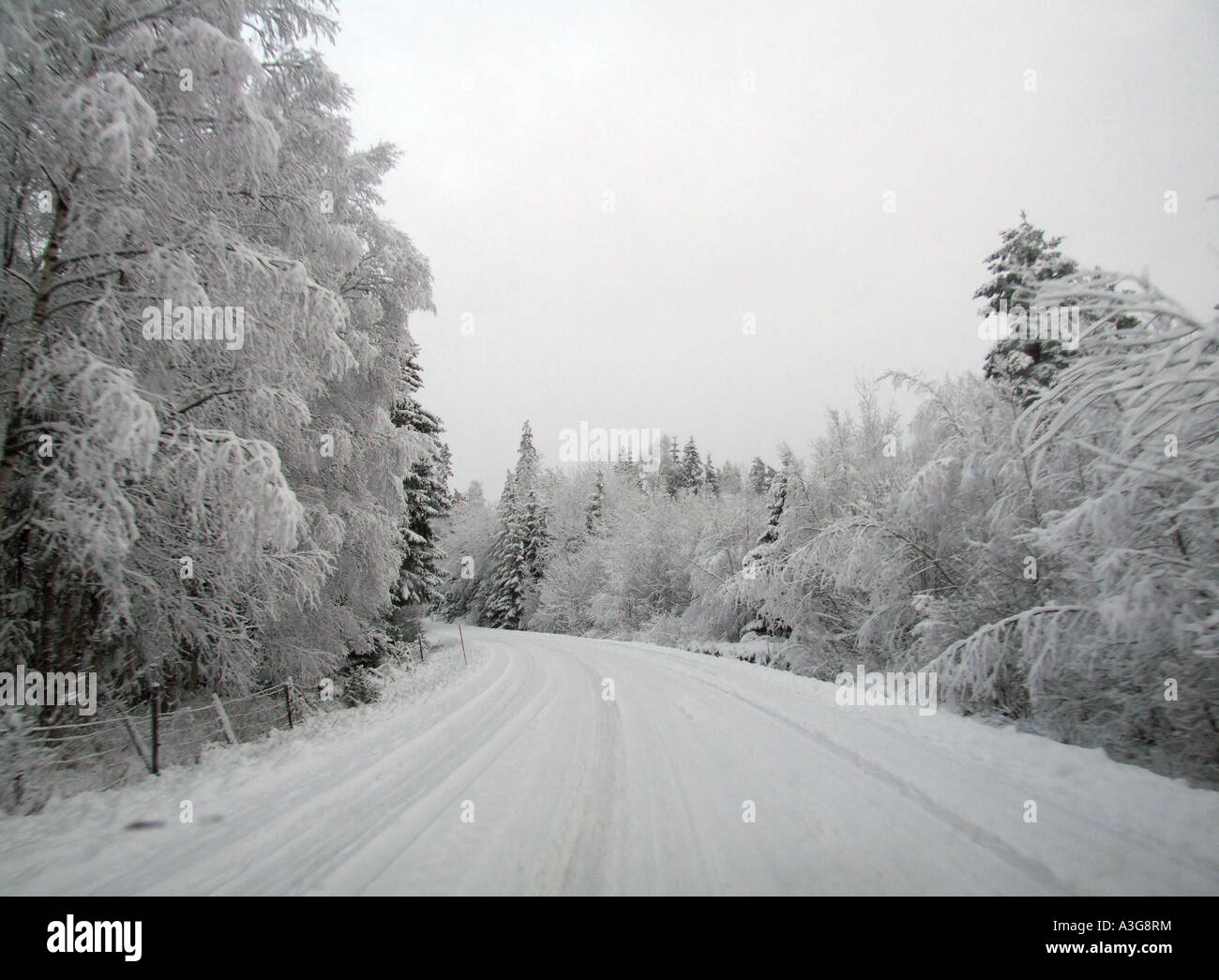 rural road covered with heavy snow Stock Photo - Alamy