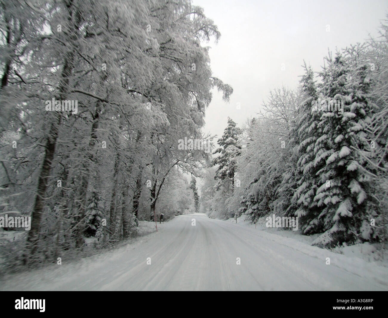 rural road covered with heavy snow Stock Photo - Alamy