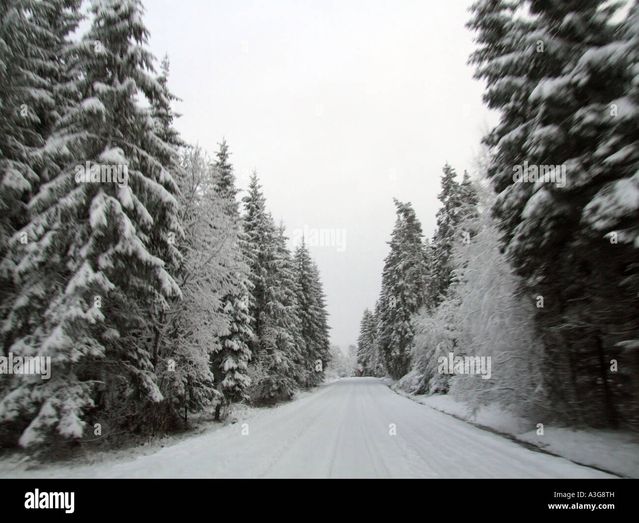 rural road covered with heavy snow Stock Photo - Alamy