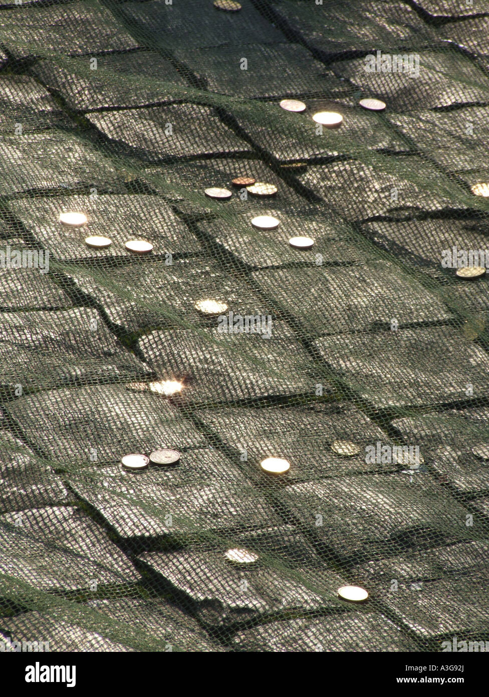 euro coins on cobbled street Stock Photo - Alamy