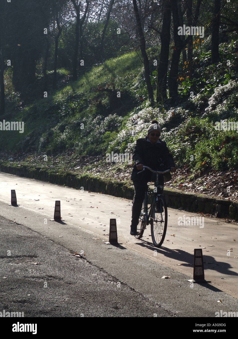 cyclist moving along tree covered cycle path Stock Photo - Alamy