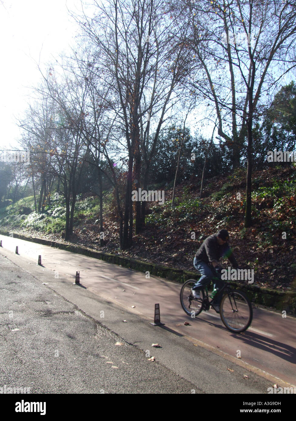 cyclist moving along tree covered cycle path Stock Photo - Alamy