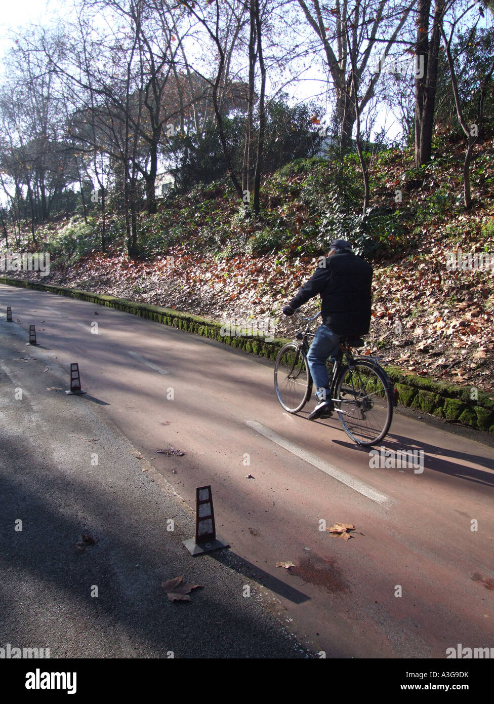 cyclist moving along tree covered cycle path Stock Photo - Alamy
