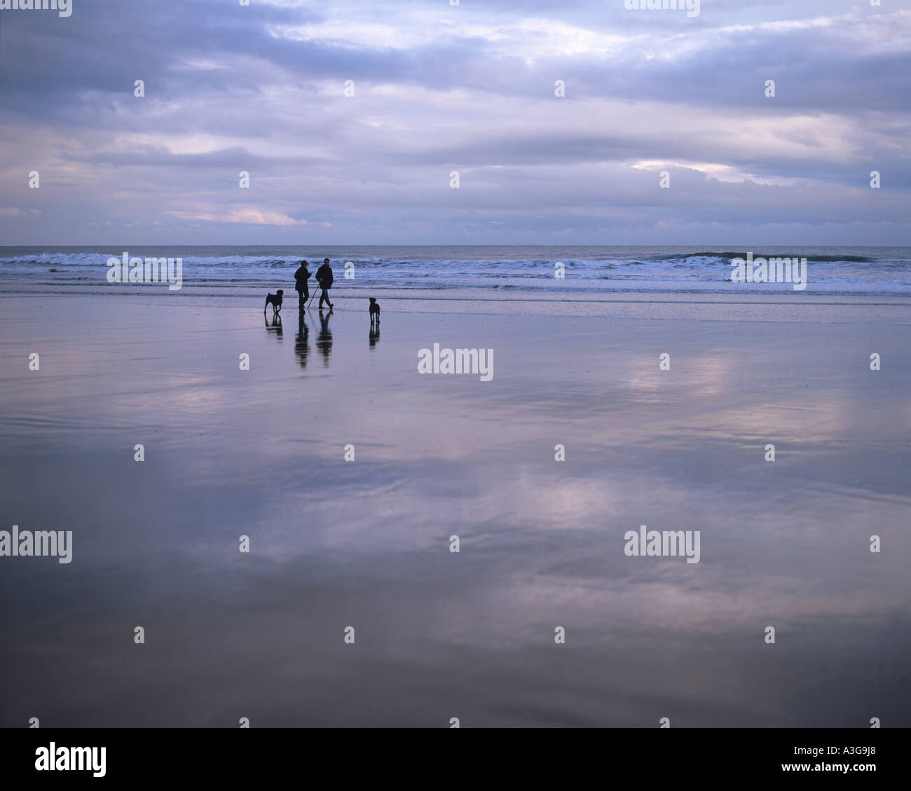 Wet dog walk couple hi-res stock photography and images - Alamy